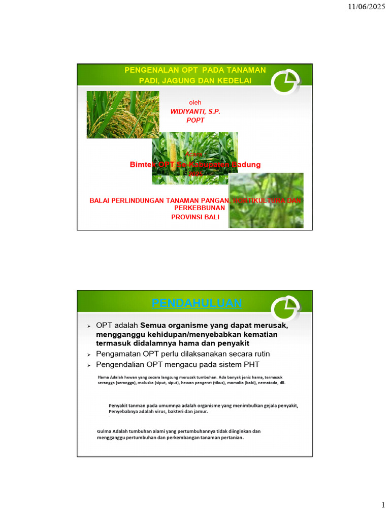 Print Materi Pengenalan Opt Tanaman Pangan | PDF