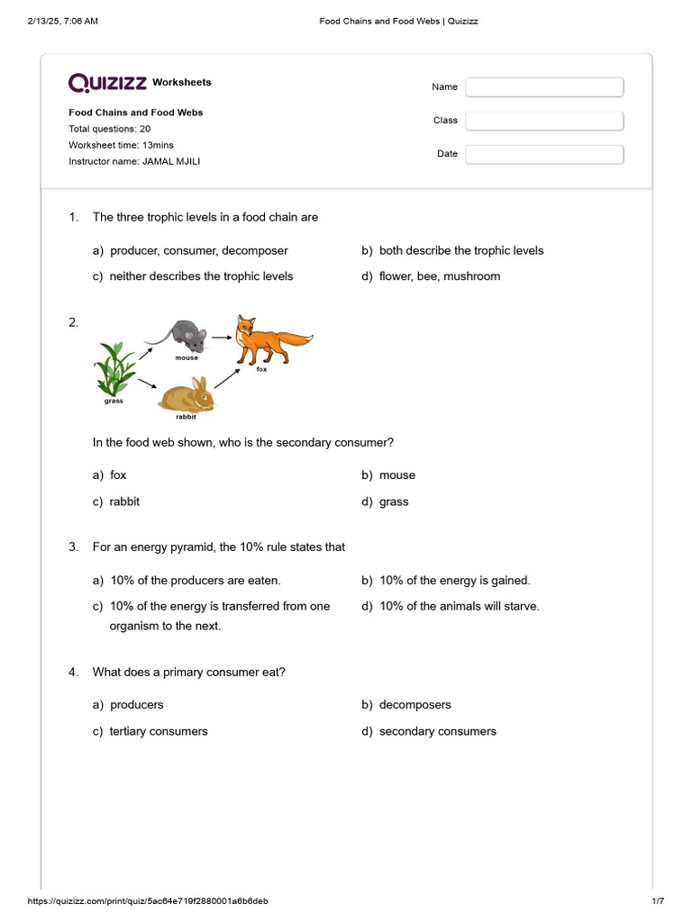 Food Chains and Webs Worksheet | PDF | Food Web | Ecosystem