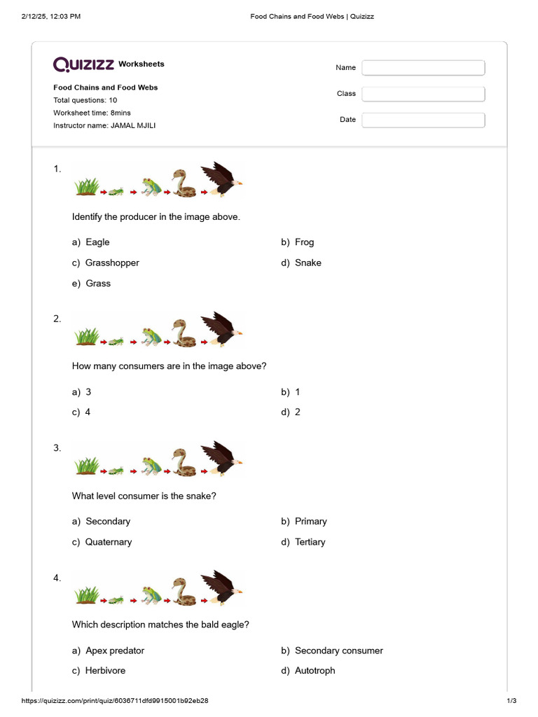 Food Chains and Food Webs - Quizizz | PDF | Food Web | Ecology