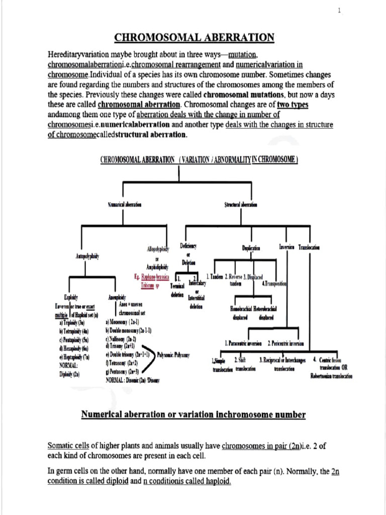 Chromosomal Numerical Aberration | PDF | Ploidy | Cell Nucleus