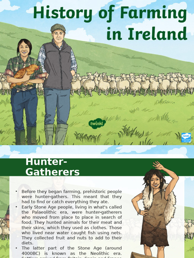Evolution of Farming in Ireland | PDF | Farms | Agriculture