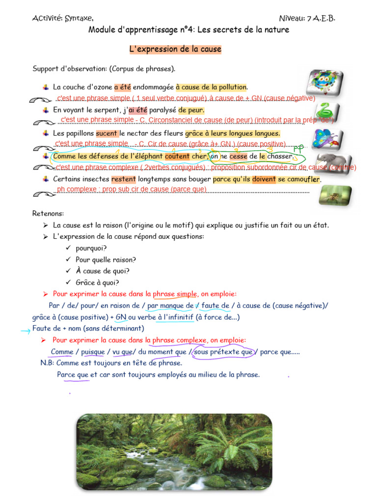 Expression de la cause en 7ème année | PDF | Phrase | Clause