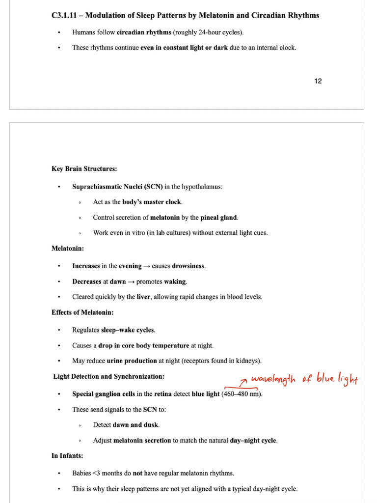 C3.1 Integration of Body System (Part 2) | PDF