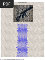 Partisan-9 Manual 1.0 | PDF | Gun Barrel | Screw