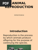 Anatomy and Physiology of Bull Reproductive System | PDF | Testicle ...