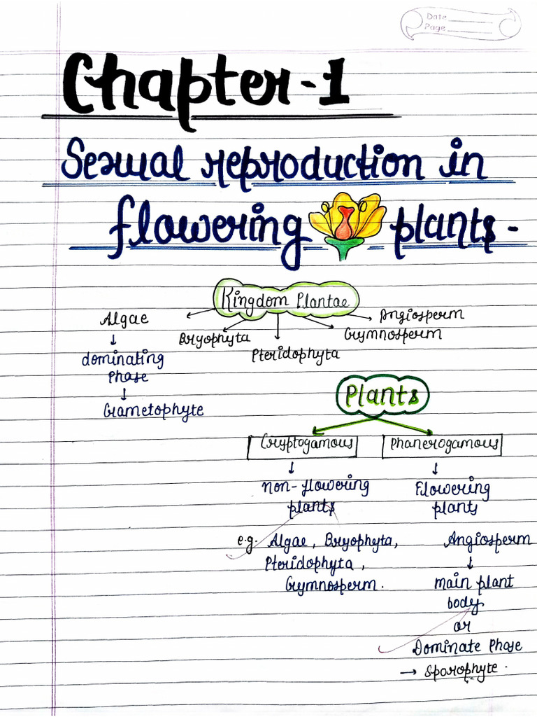 Sexual Reproduction in Flowering Plants | PDF