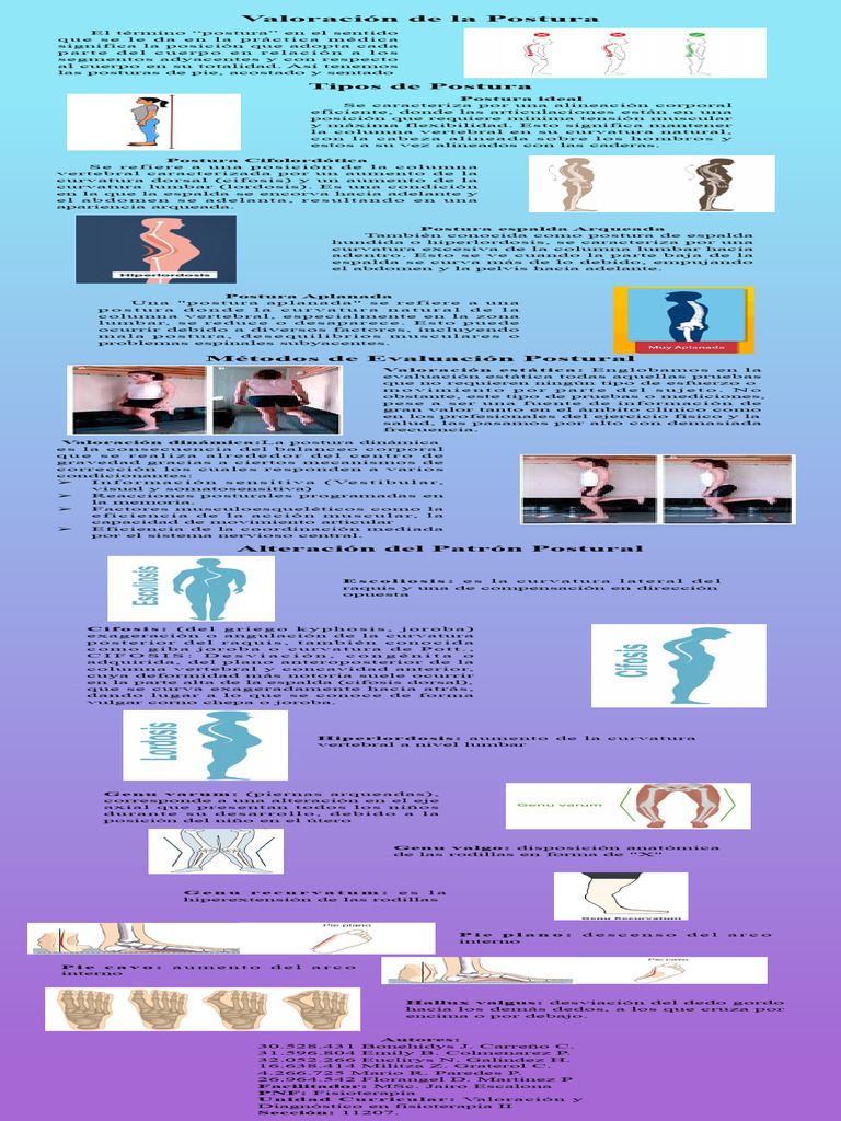 Evaluación de la Postura Corporal | PDF | La columna vertebral ...