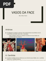 Forames Do Crânio | PDF | Neuroanatomia | Anatomia humana
