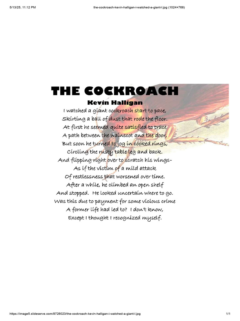 The Cockroach | PDF