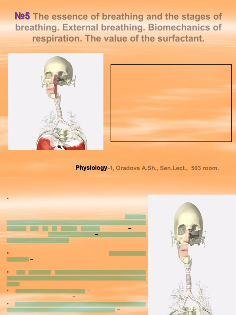 1 - The Essence of Breathing and The Stages of Breathing. External ...