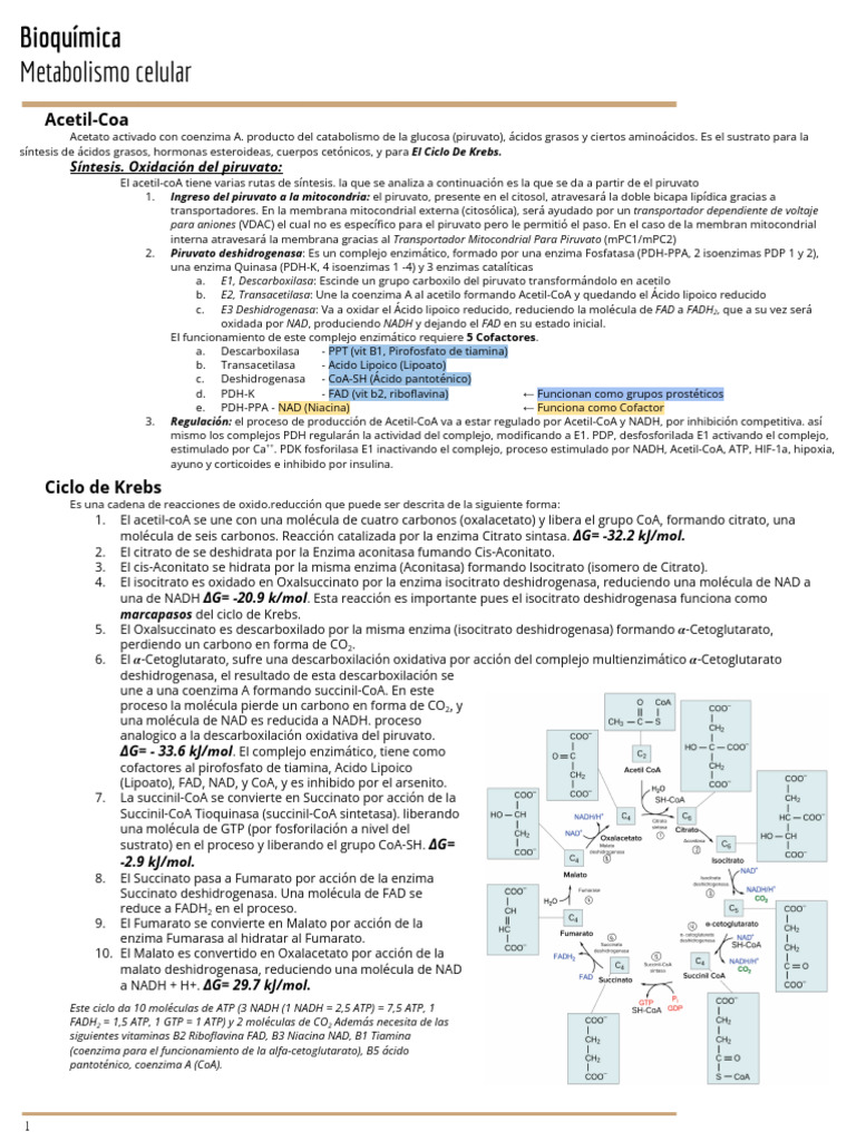 Bioquímica - Metabolismo Celular | PDF | Cadena de transporte de electrones | Trifosfato de ...