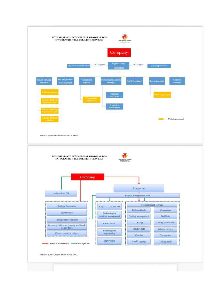 DS Organizational Chart | PDF
