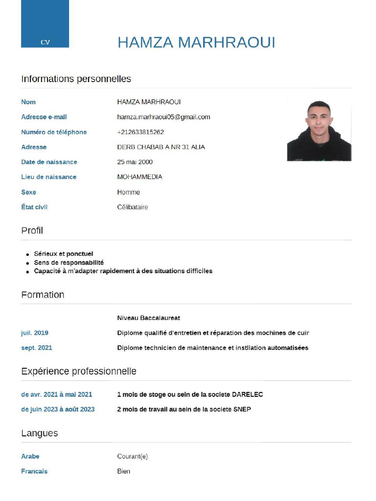 CV Hamza | PDF