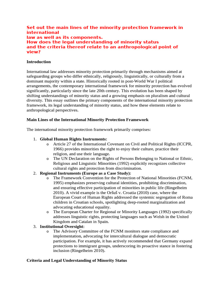 International Minority Protection Framework | PDF | Minority Group ...