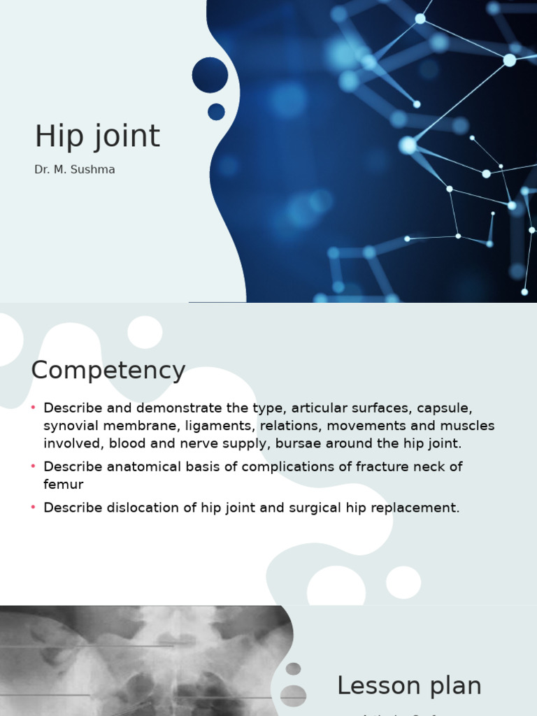 Hip Joint | PDF | Hip | Limbs (Anatomy)