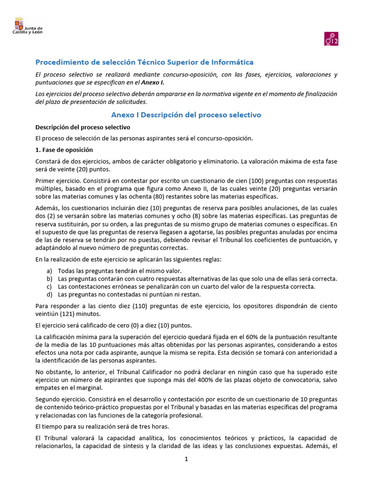 Anexo I Procedimiento Seleccion Ts Informatica | PDF