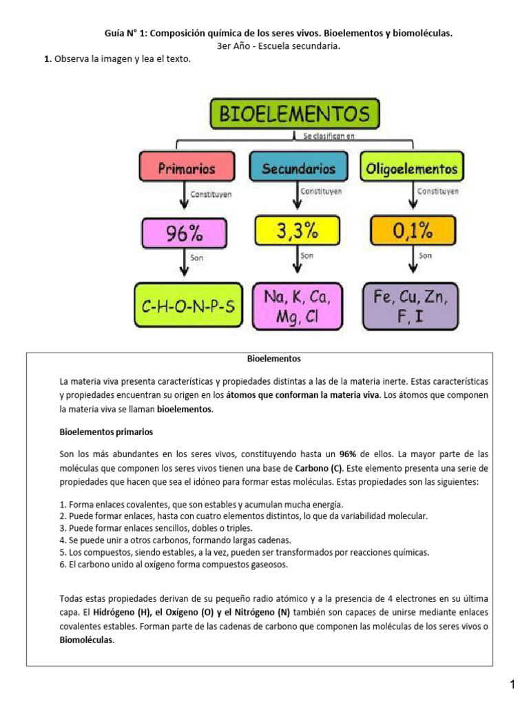 01 Guia 1 Bioelementos | PDF | Carbohidratos | Polisacárido