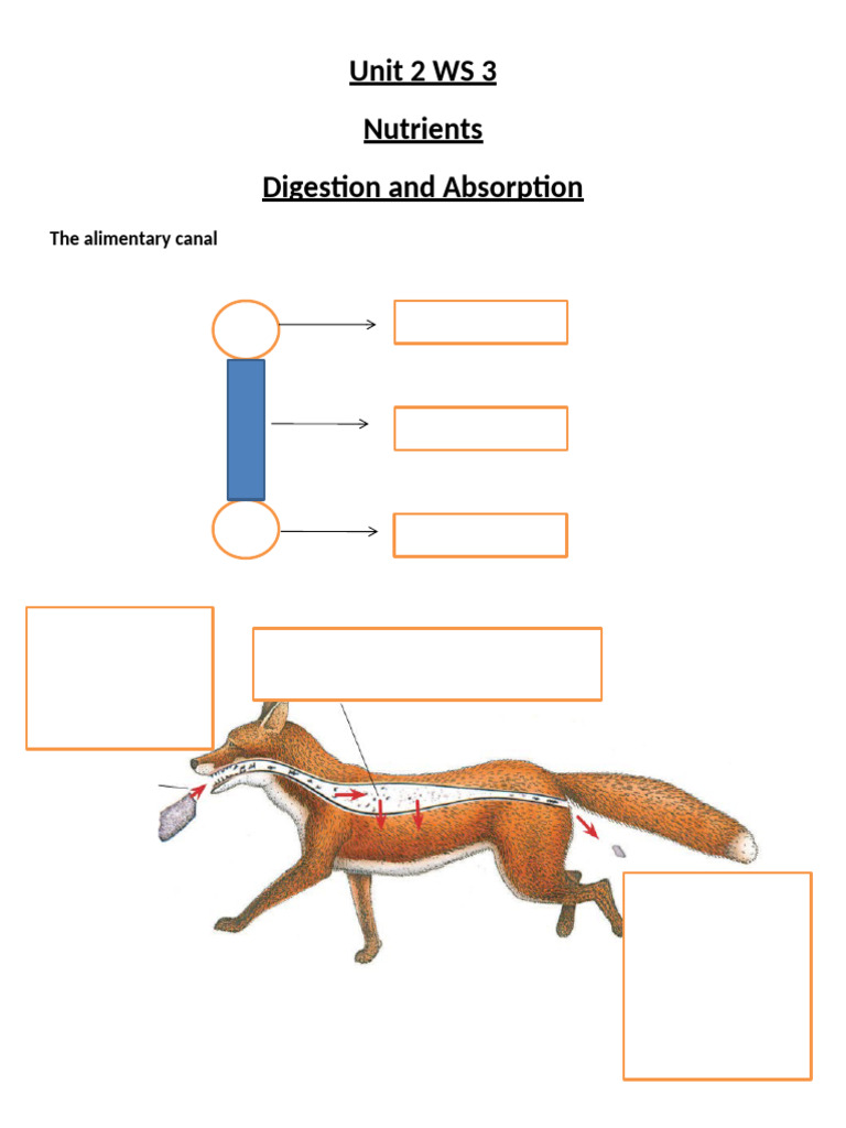 G7-Unit 2-WS 3 | PDF