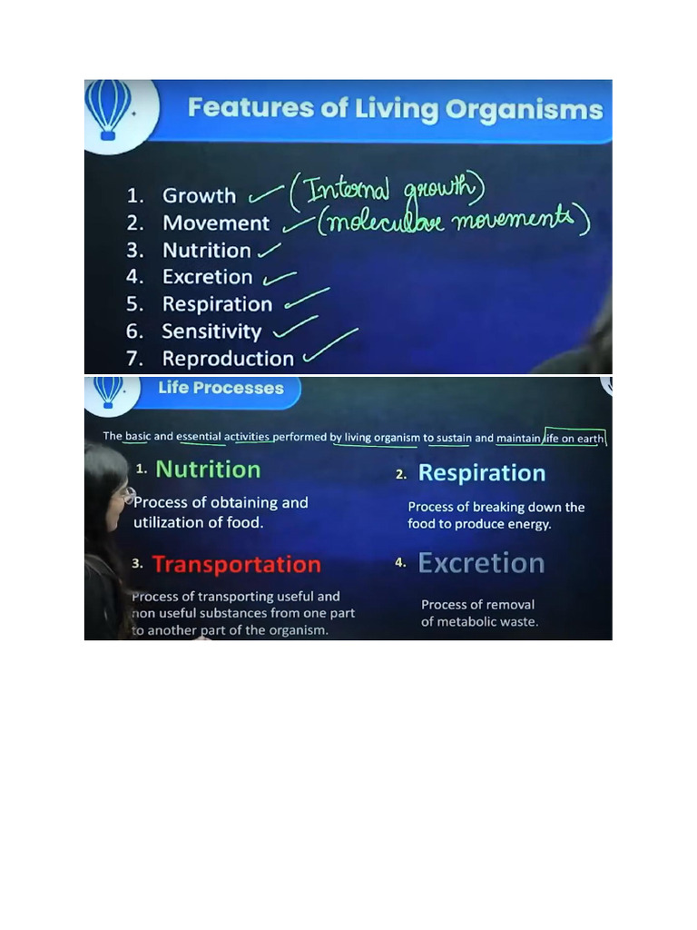 Life Processes | PDF