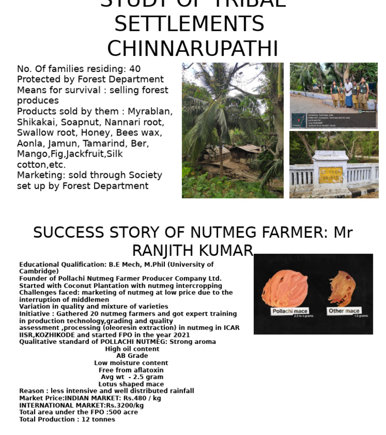 Success of Pollachi Nutmeg Farmers | PDF