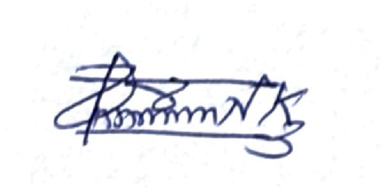 Nick Signature | PDF