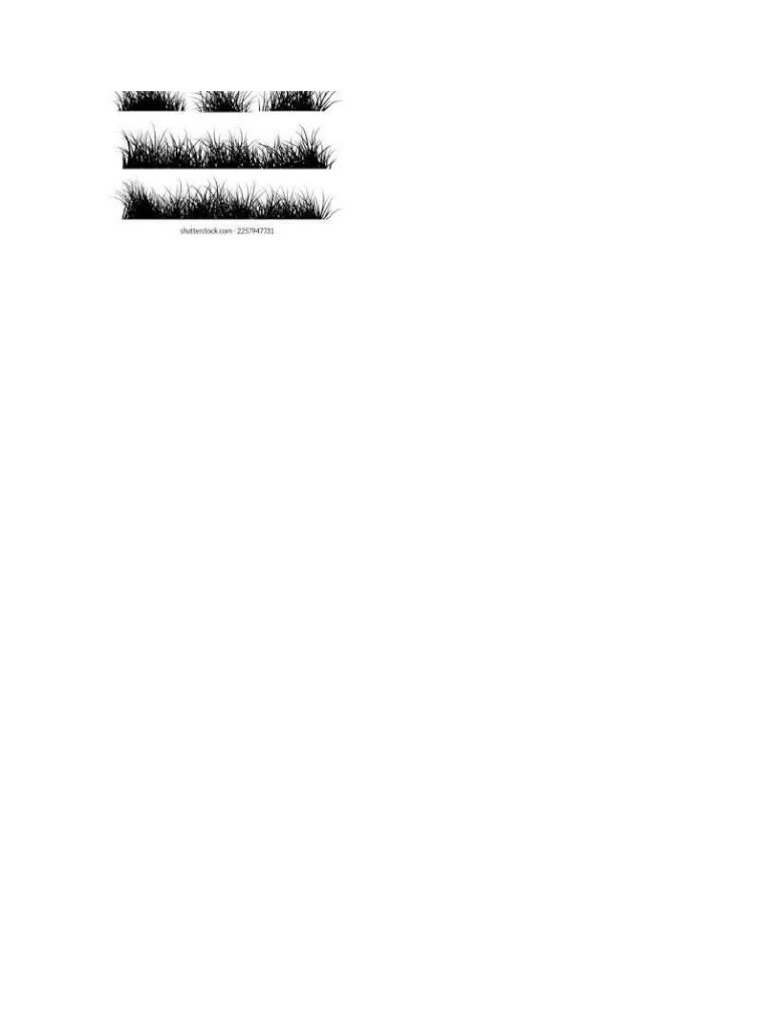 Pasto Negro | PDF