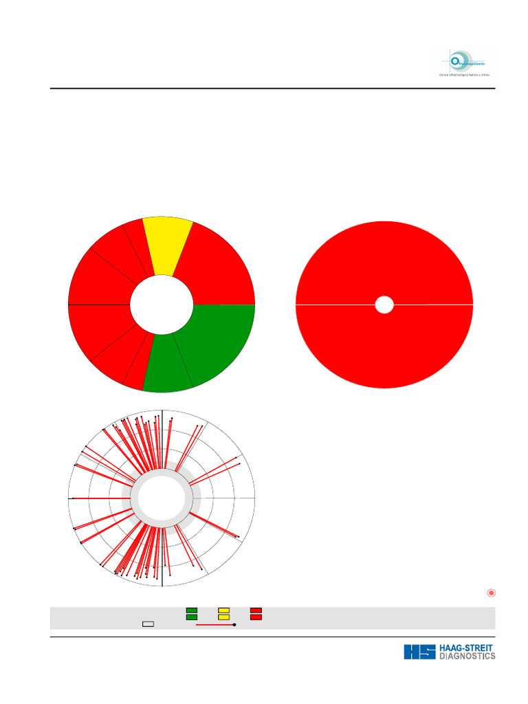 Campo Visual - Arrieta Sanchez Duleis Rafael | PDF