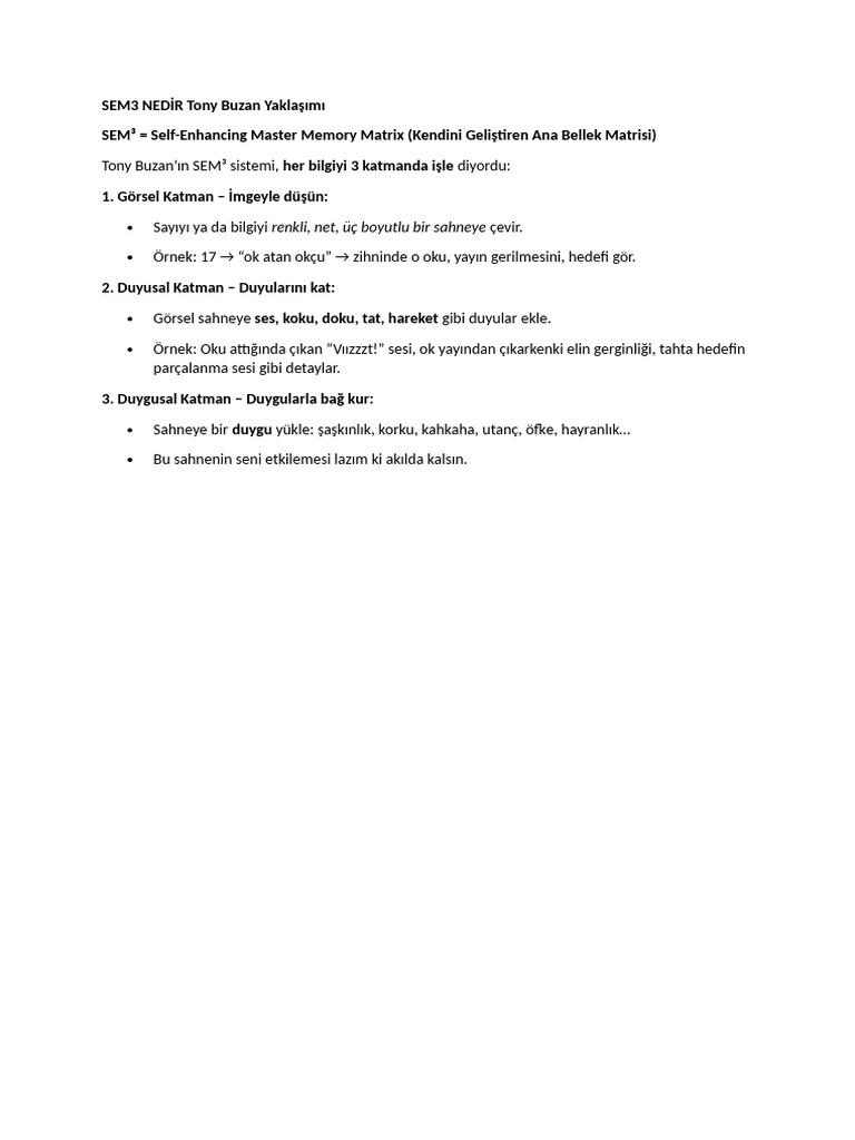 SEM3 NEDİR Tony Buzan Yaklaşımı | PDF