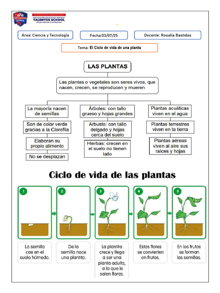 Ciclo de Las Plantas N°21 - 2do Talentos | PDF