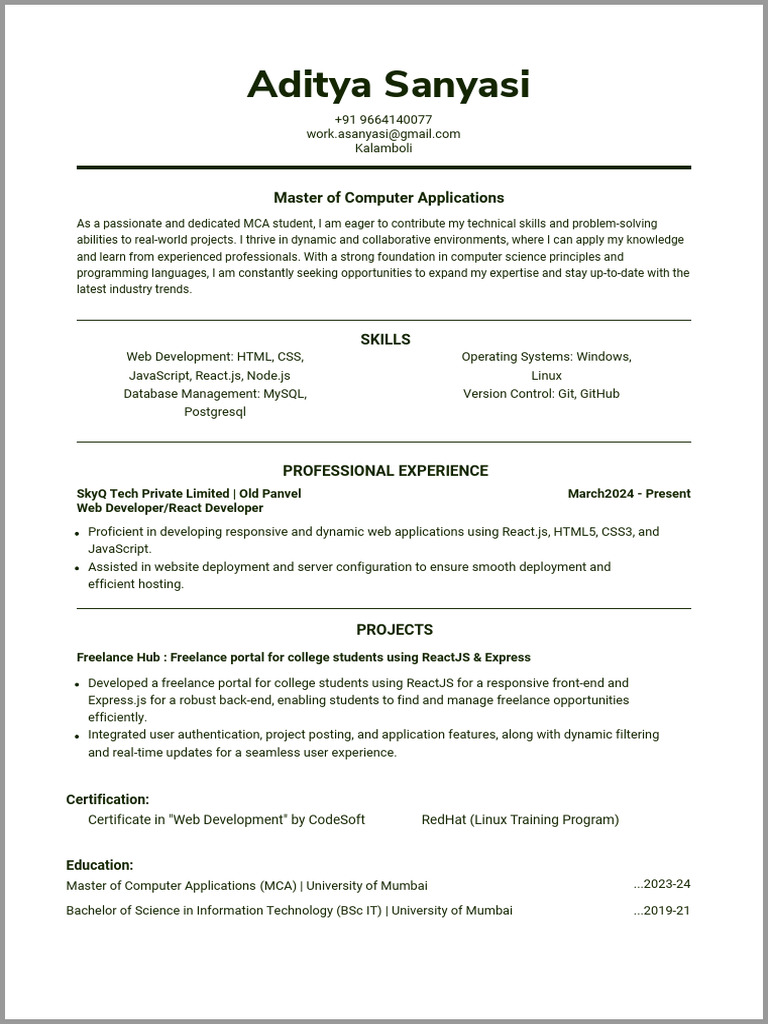 Experience Resume Aditya | PDF | Web Development | World Wide Web