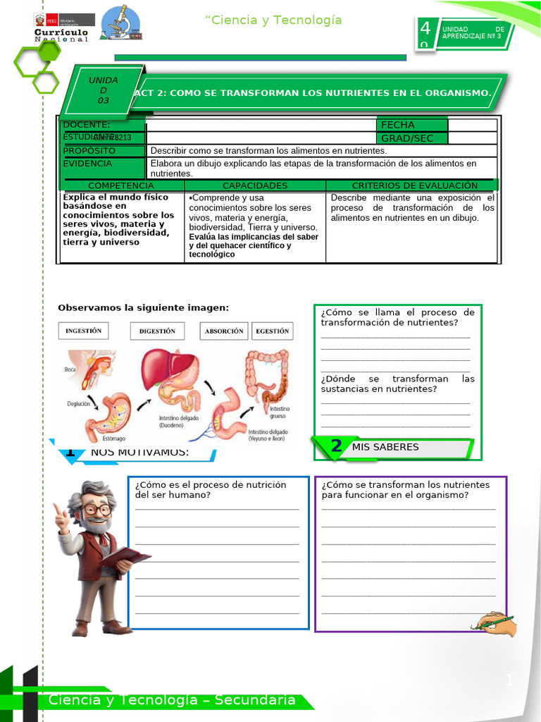 4º Act 2-Cyt-U3 | PDF | Digestión | Alimentos