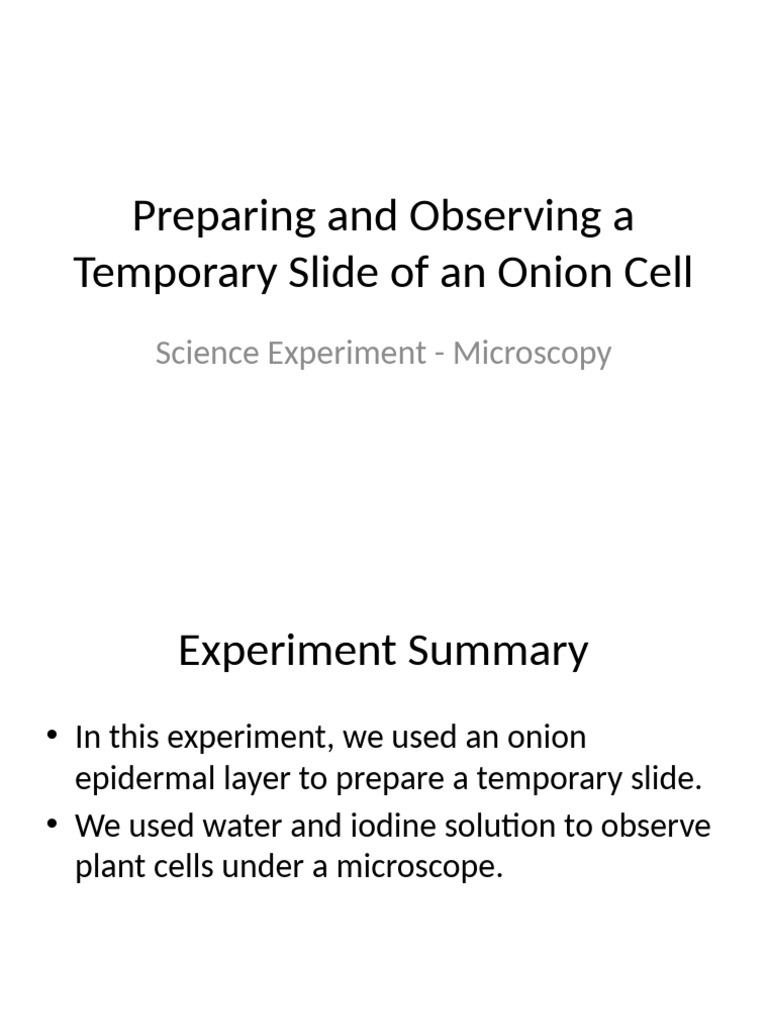 Observing Onion Cells Under Microscope | PDF