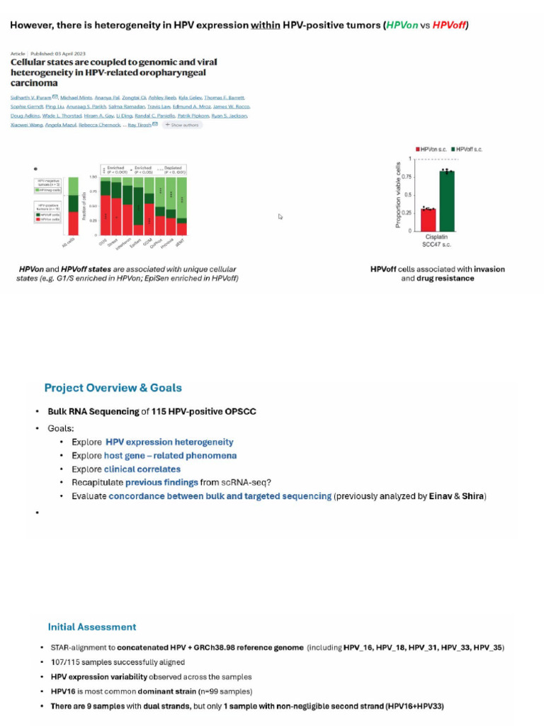 Zoom Meeting Summary LB JC | PDF