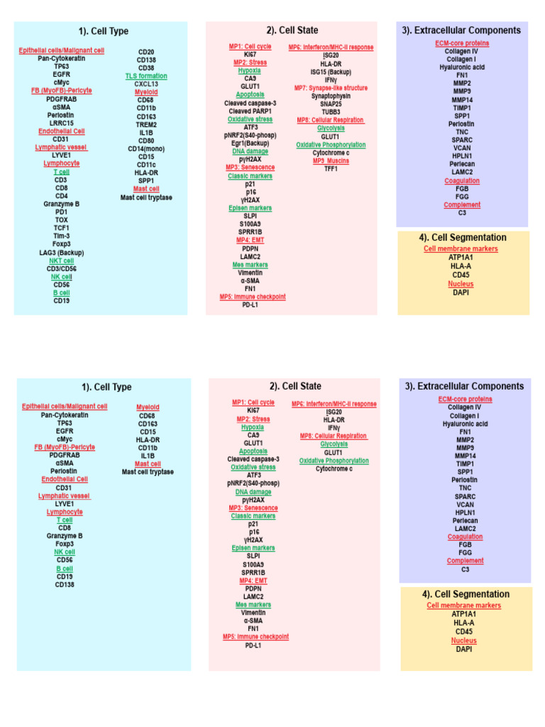 2025 06 24 Updated CODEX Panel | PDF | Interferon Gamma | Cell (Biology)
