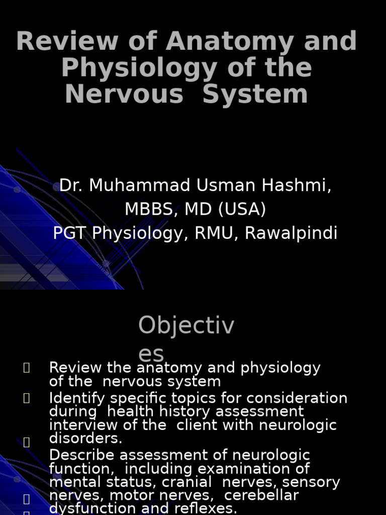 Nervous System Anatomy and Physiology Review | PDF | Spinal Cord | Neuron