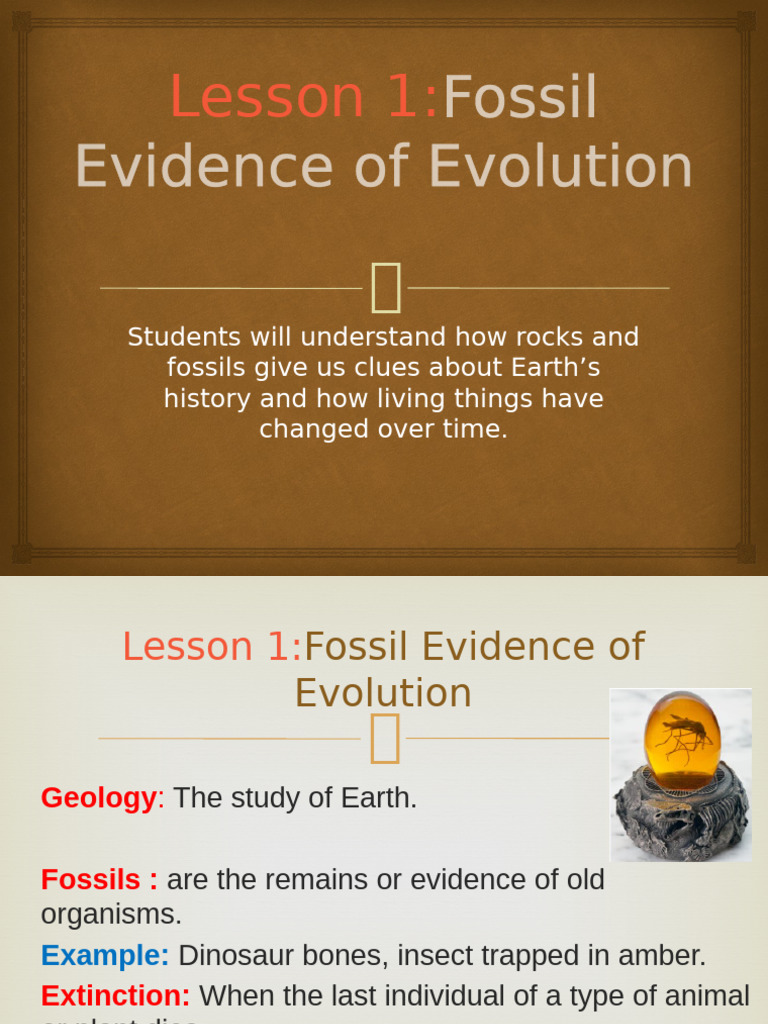 Fossil Evidence of Evolution G8 28-4 | PDF | Fossil | Geologic Time Scale