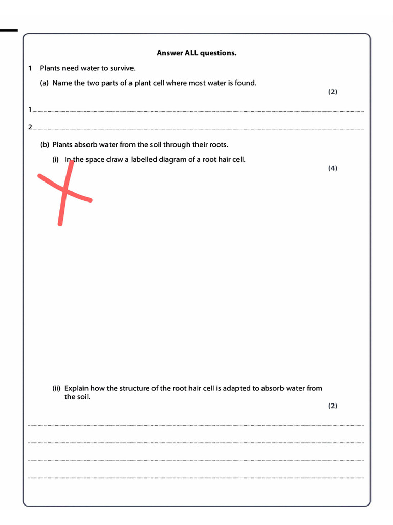 Biology Test 1 (Unit-3) | PDF