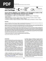 KOOS Scoring Instructions | PDF | Microsoft Excel | Spreadsheet