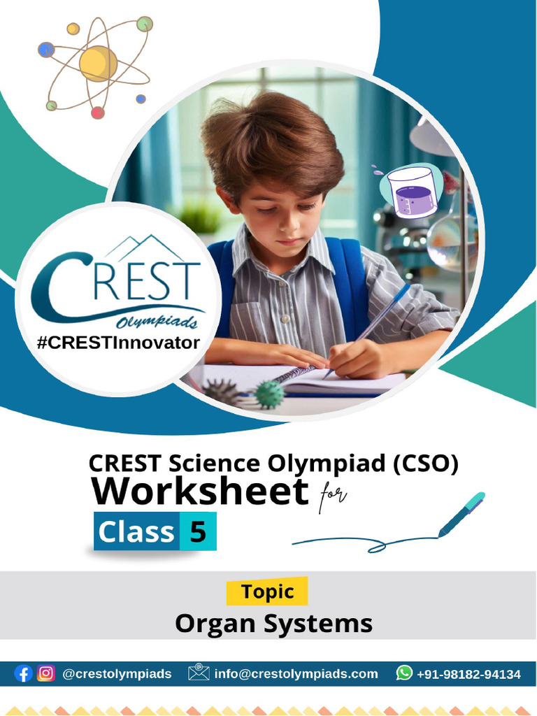 Organ Systems Worksheet for Grade 5 | PDF | Muscle | Human Digestive System