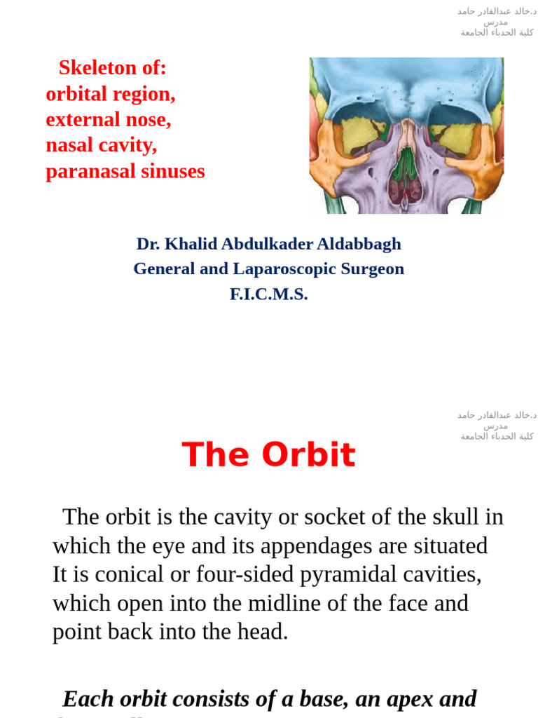 Anatomy of the Orbit and Nasal Structures | PDF | Human Nose ...
