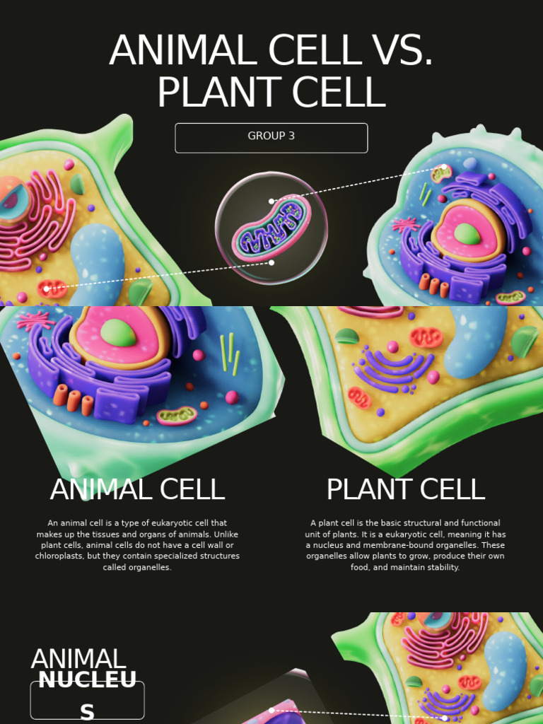Animal vs. Plant Cell Comparison | PDF
