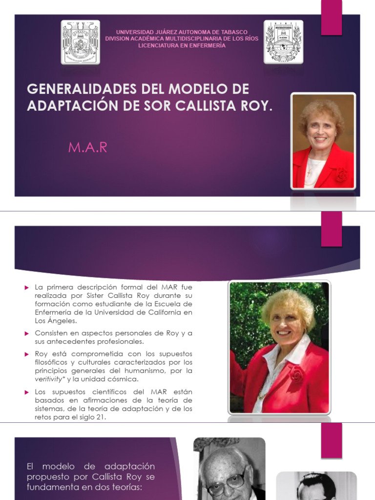 Modelo de Adaptación de Roy en Enfermería | PDF | Sistema endocrino ...