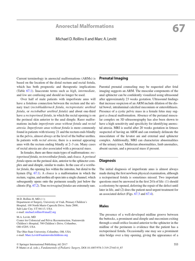 Anorectal Malformations in Females | PDF | Medical Specialties