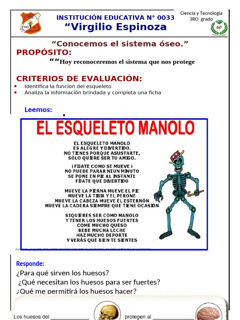 Funciones del Sistema Óseo en Niños | PDF