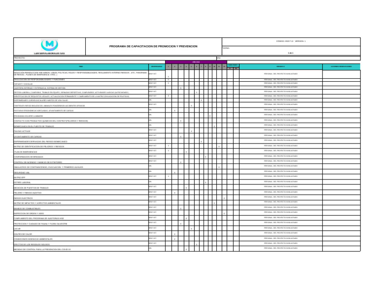 Hse-F-12 Programa de Capacitacion | PDF