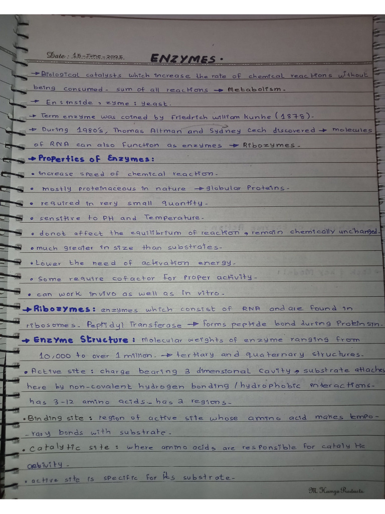 ENZYMES NOTES | PDF