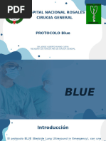 Protocolo Blue | PDF | Enfermedades y trastornos | Neumología