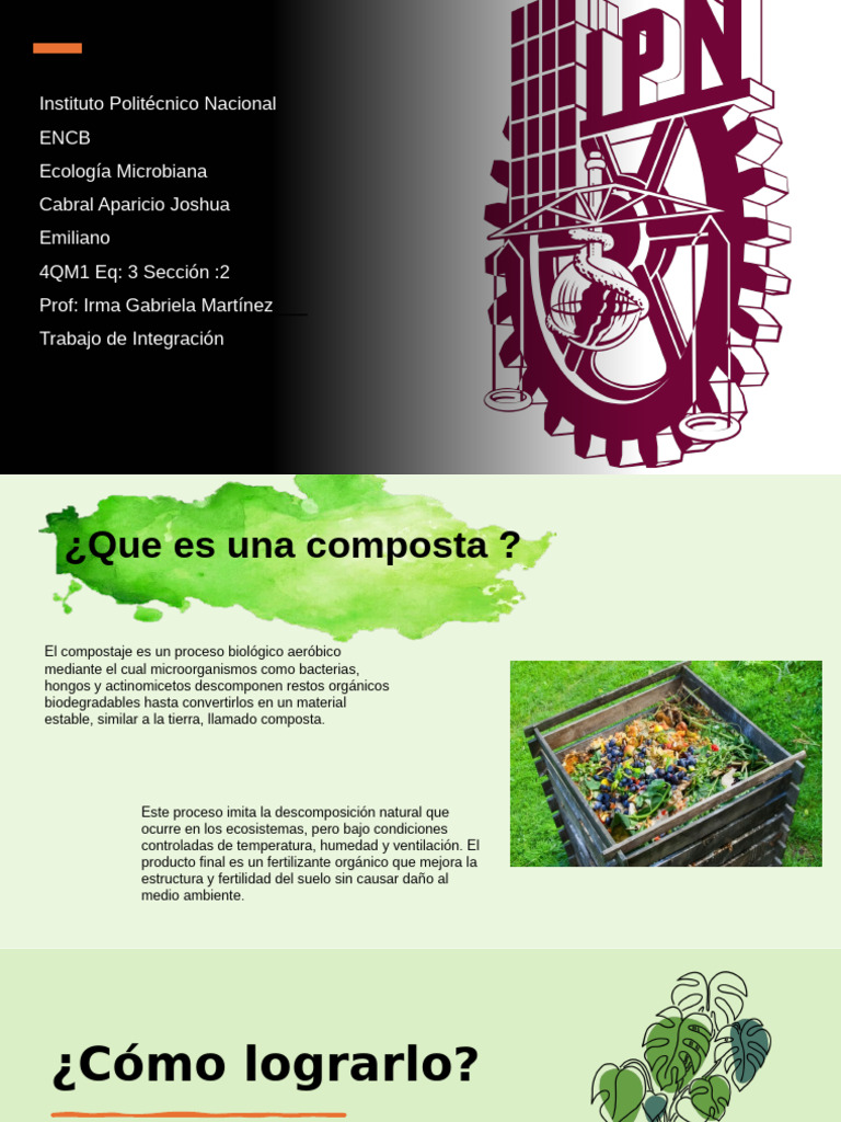 Jeca 4qm1 Eq3secc2 Trabajo Final | PDF | Compost