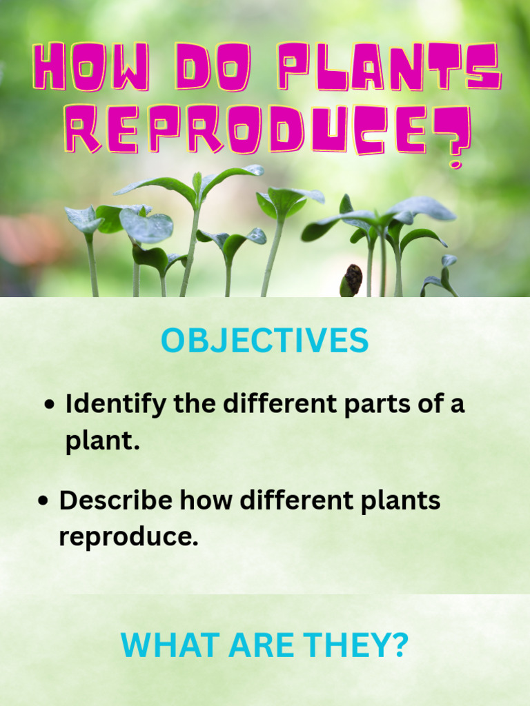How Do Plants Reproduce PDF | PDF