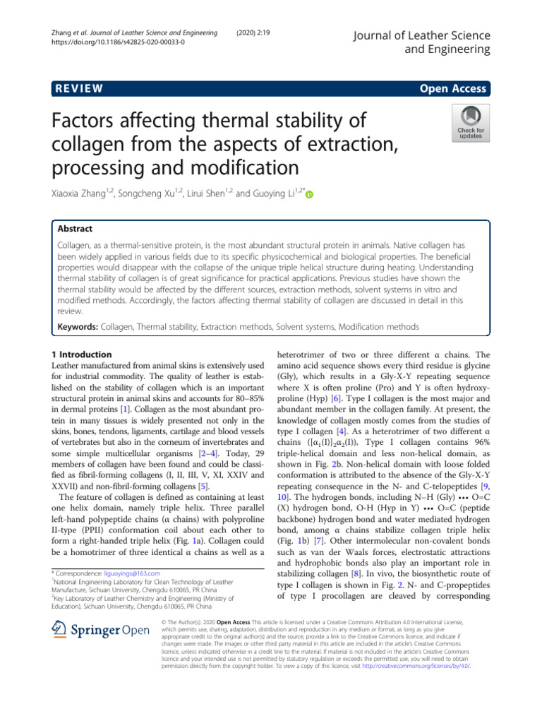 Factors Influencing Collagen Stability | PDF | Collagen | Alpha Helix